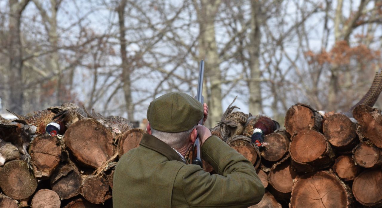 Upland Hunting at The Preserve Boulder Hill - Rhode Island (RI)